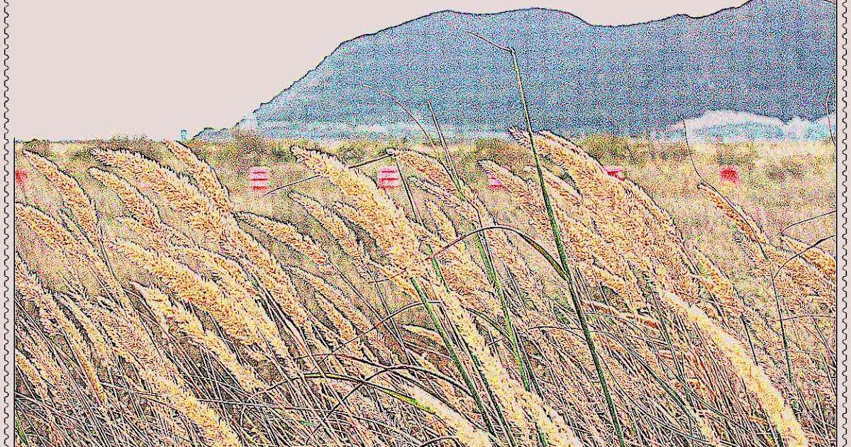 The Scriptures: Mark-06-49