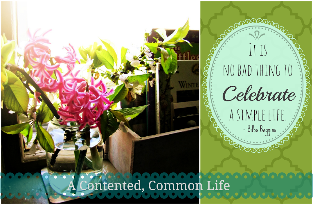 A Contented, Common Life: Week 15 {Embrace the Camera}: My Spot