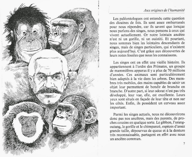 Leçons de choses: Les premiers hommes (Jean-Jacques Hublin)