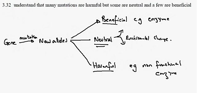 Numob's Biology: 3.32 Types of mutation