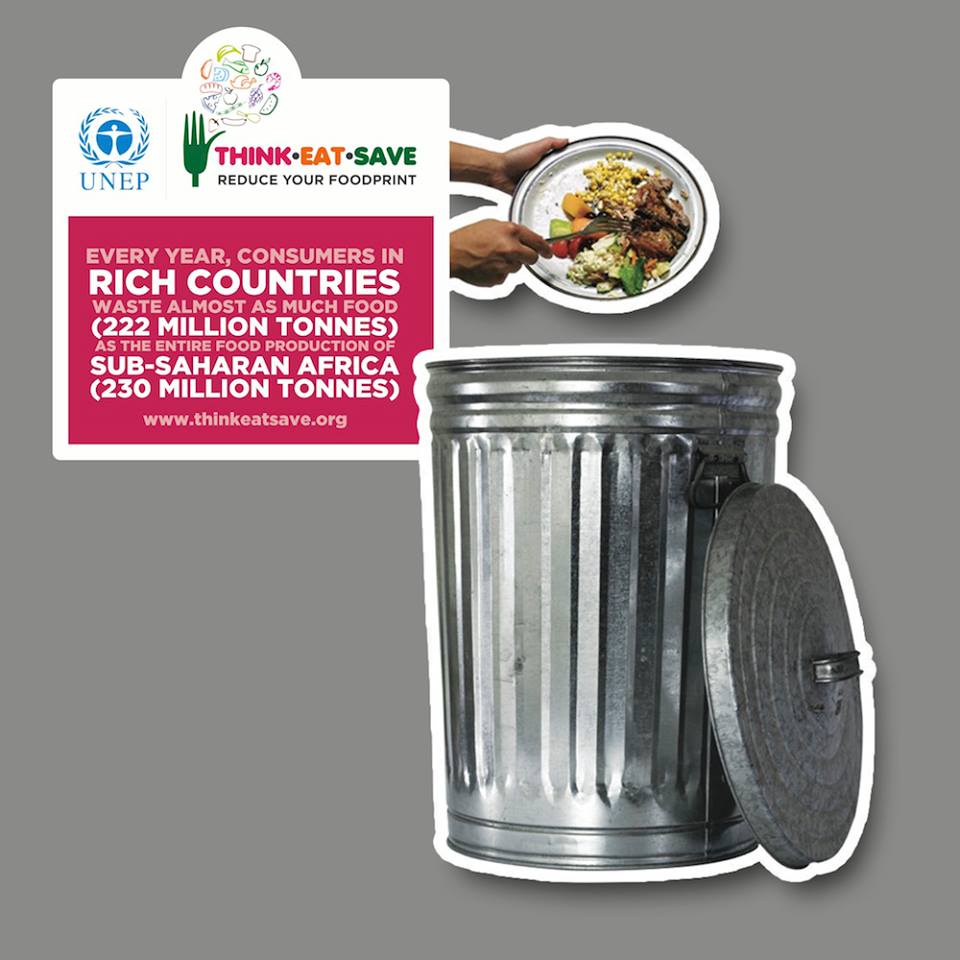 World Environment Day Think Eat Save