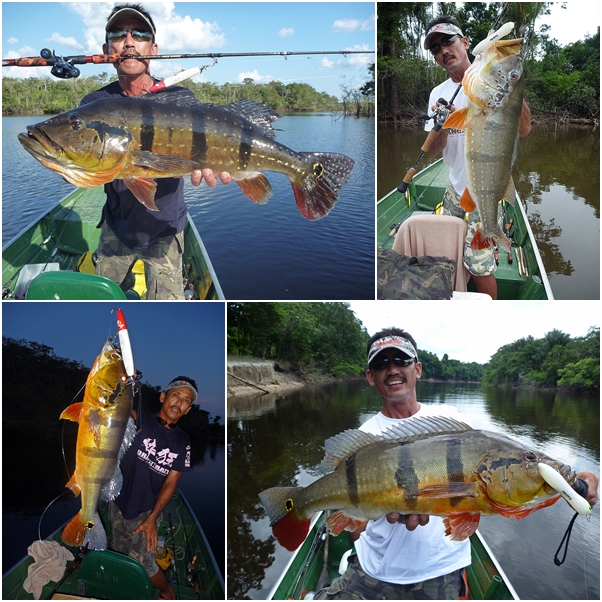 ANGLING WORLD 魔魚釣界: Adventure Fishing @ Amazonia Rio Negro