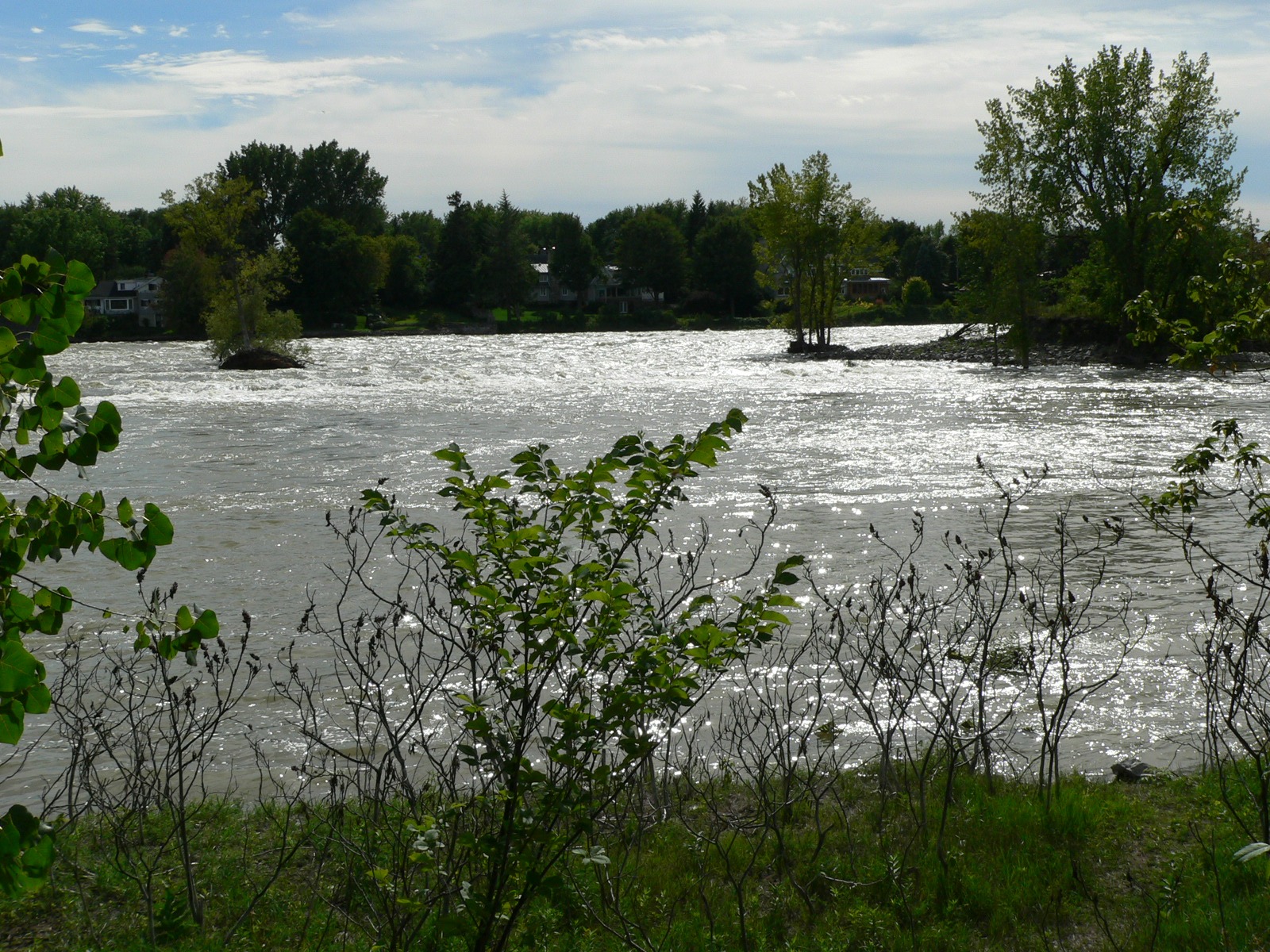 Les Ami(e)s du Richelieu: Rivière Richelieu - après la crue de 2011 (suite)