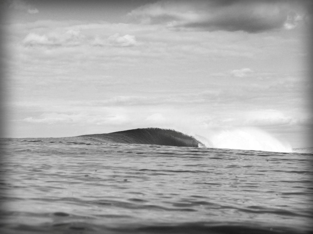 Sen No Sen x Yannick Le Toquin – SEN NO SEN®