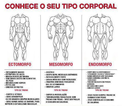 Professor Romário: Biotipos físicos