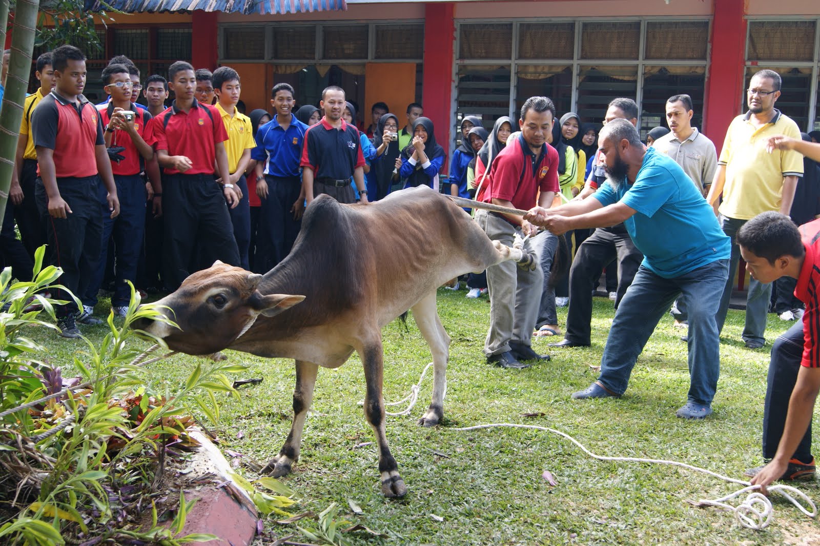 Majlis Qurban Perdana Peringkat Sek.Men.Sains Selangor | SM Sains Selangor