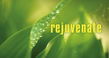 rejuvenate - meddic