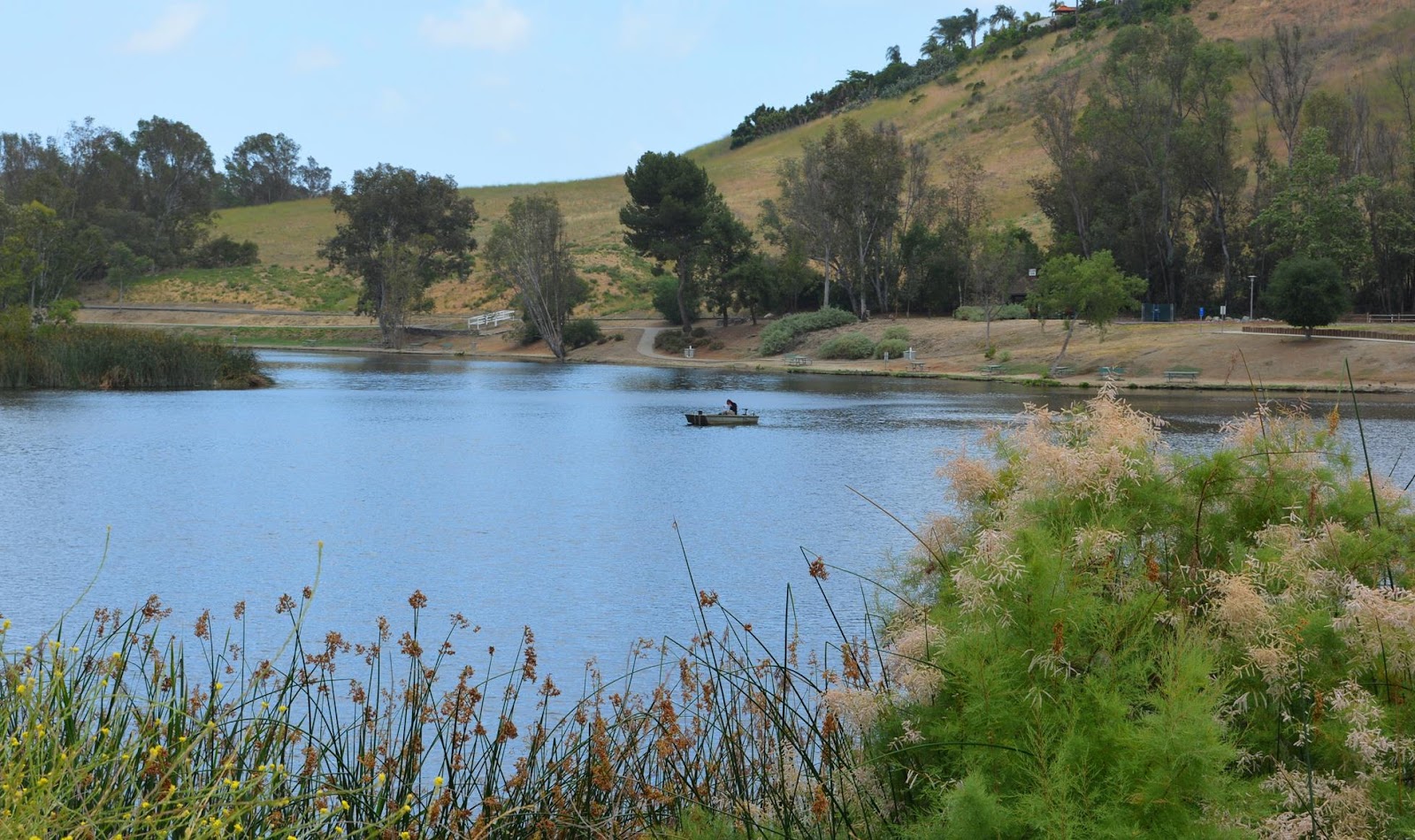 Patrick Tillett: Laguna Niguel Lake