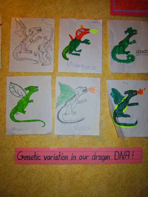 7thGradeCHPCS: Project Photos (Great Depression, Dragon Genetics, Slide ...