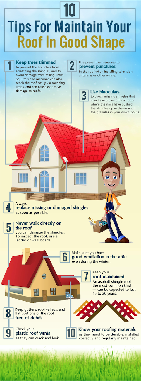 How To Protect Your Roof - Infographics Free Submission