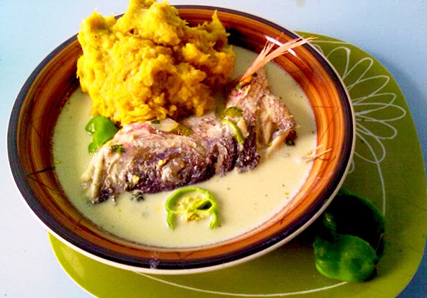 Comidas Exoticas Honduras