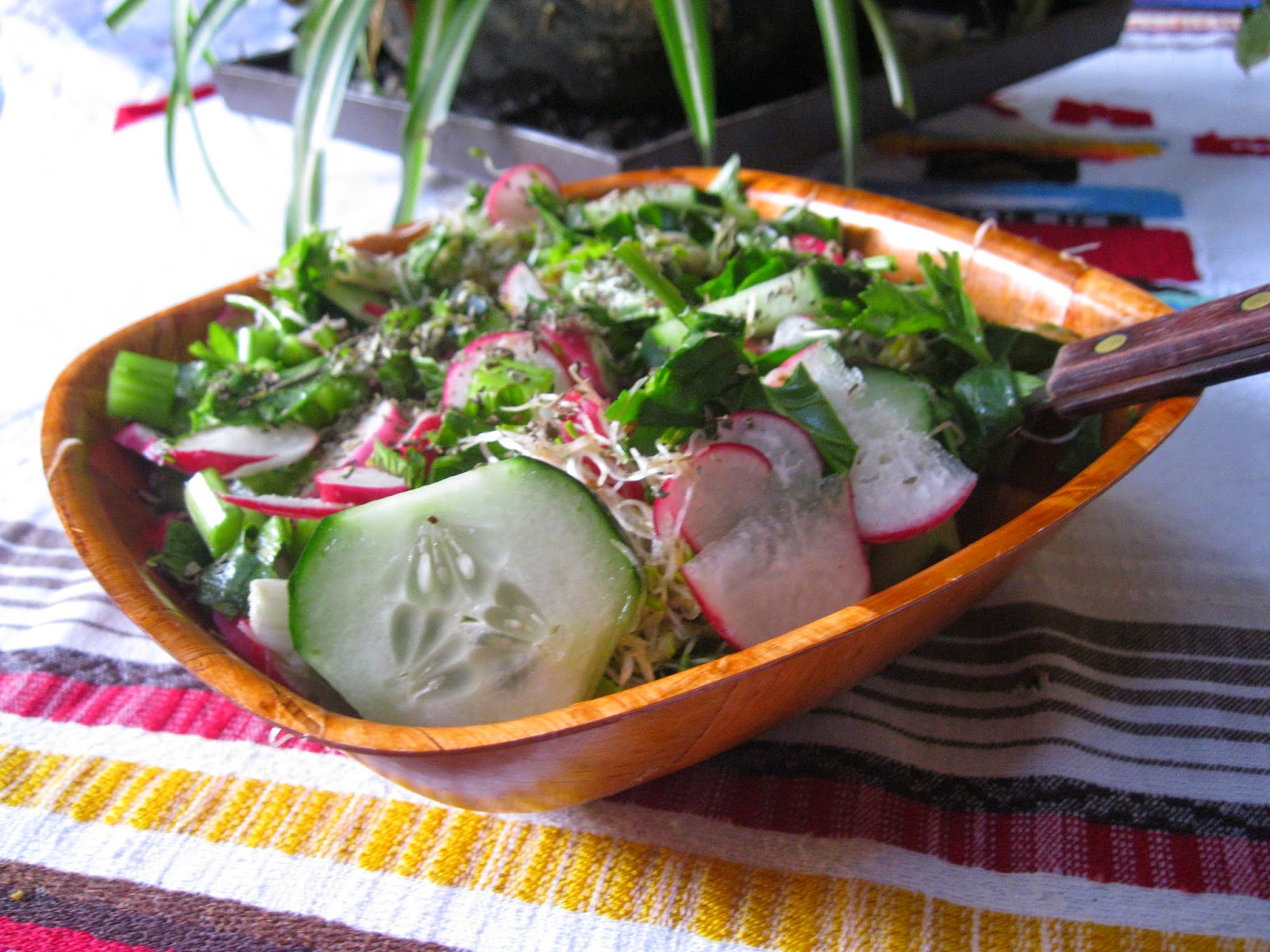 La Oveja Verde Feliz: Ensalada de rábano y apio