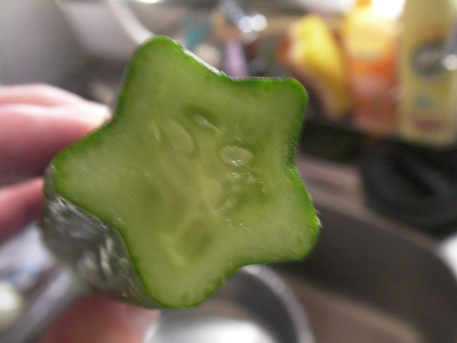 Small vege garden in a suburb: Cucumbers in "Cute" shapes