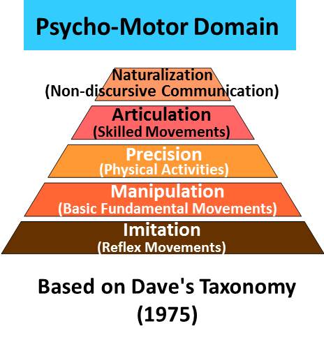 Curriculum and Pedagogy