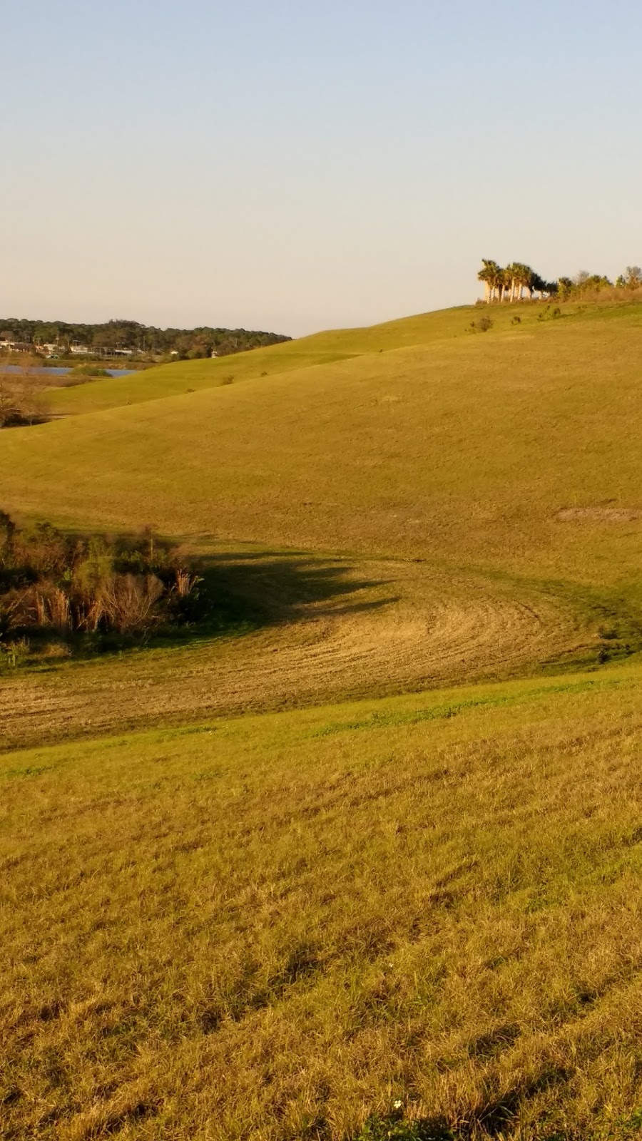 Fresh Start for the Celery Fields: Taking the Initiative