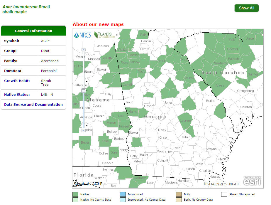 Using Georgia Native Plants: Atlas of Georgia Brings Herbaria to the People