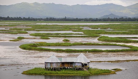 The Presurfer: Loktak Lake: The Home Of The Floating Phumdis in India