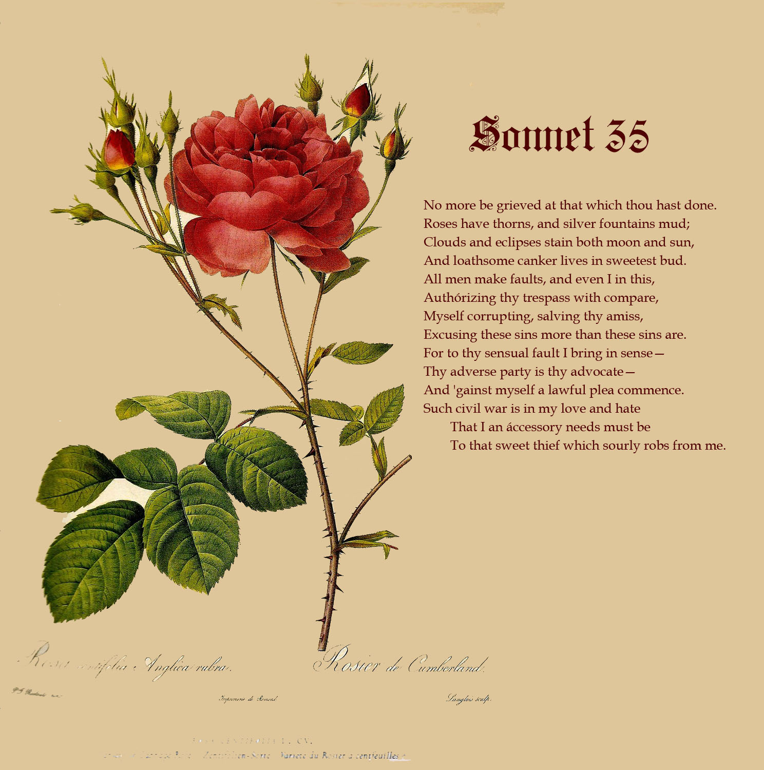 Shakesblogging™: Will's sonnet 35