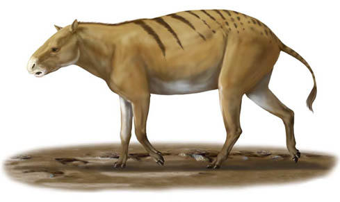 7 Curiosidades sobre los caballos