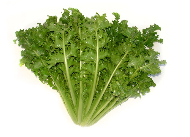 Você sabia que chicória dá um bom café? Saiba mais sobre o produto ...