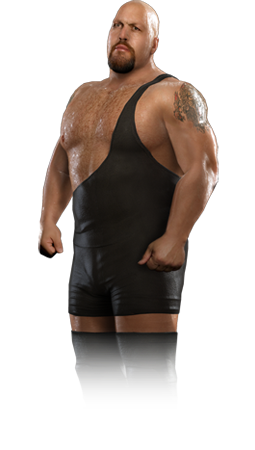 WORLD WRESTLING ENTERTAINMENT: American Professional Wrestler