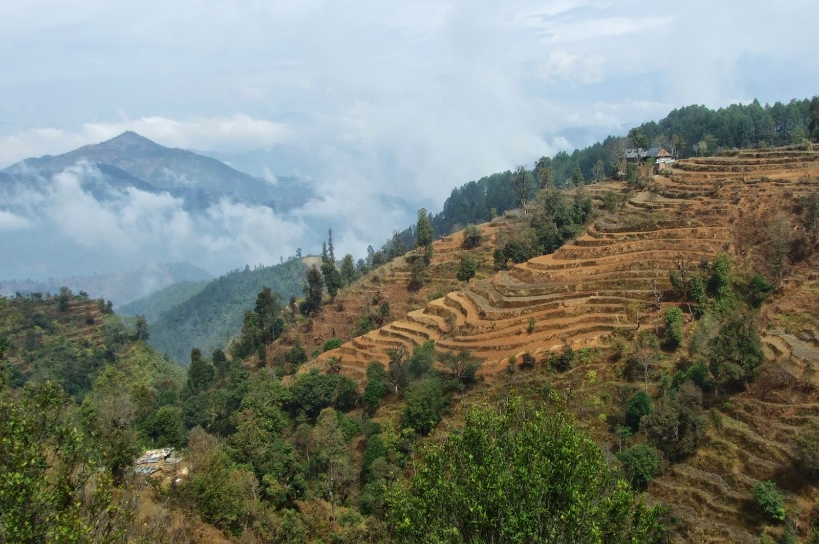 Jess Mutter's Travels