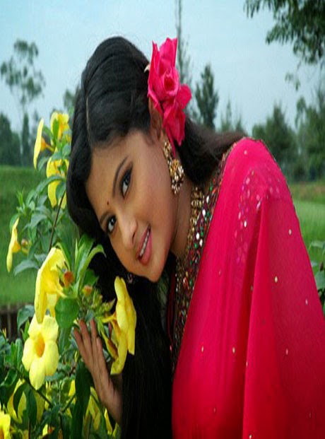Free Beauty Pictures Bangladeshi Models Actress Purnima Hot Sexy Hd Pictures Saree And Biography