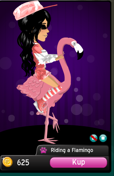 Ja i MovieStarPlanet ♥♥: Pink Flamingo | Rózowy Flaming | Nowy Motyw