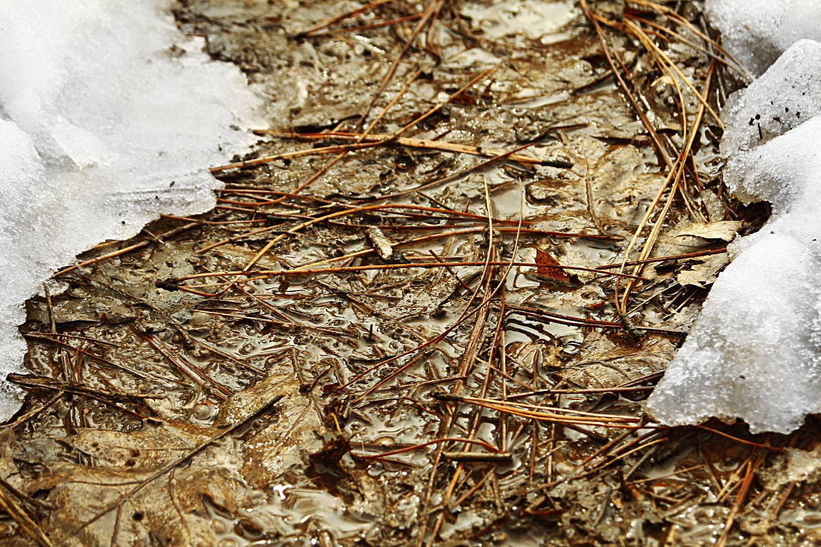 13 Natural Textures | ibjennyjenny Free Resources