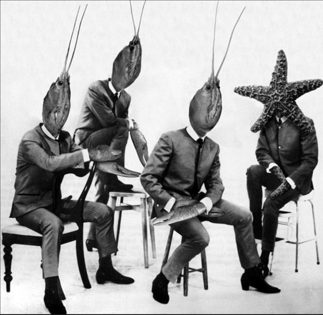 PowerPop: Bach is Dead and Hardy Fox Isn't Feeling So Good Himself