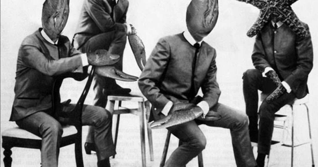 PowerPop: Bach is Dead and Hardy Fox Isn't Feeling So Good Himself