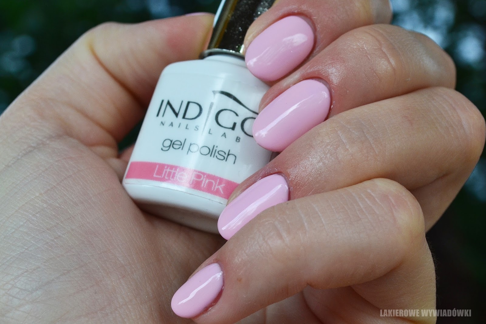 lakierowe wywiadówki: Indigo Nails gel polish - Little Pink