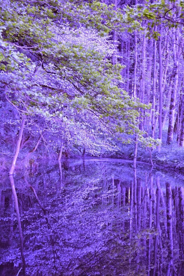 Dreamy nature ~ Amazing Photography