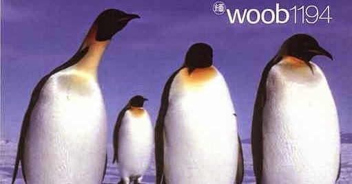 I Hate The 90s: WOOB 1194 1994