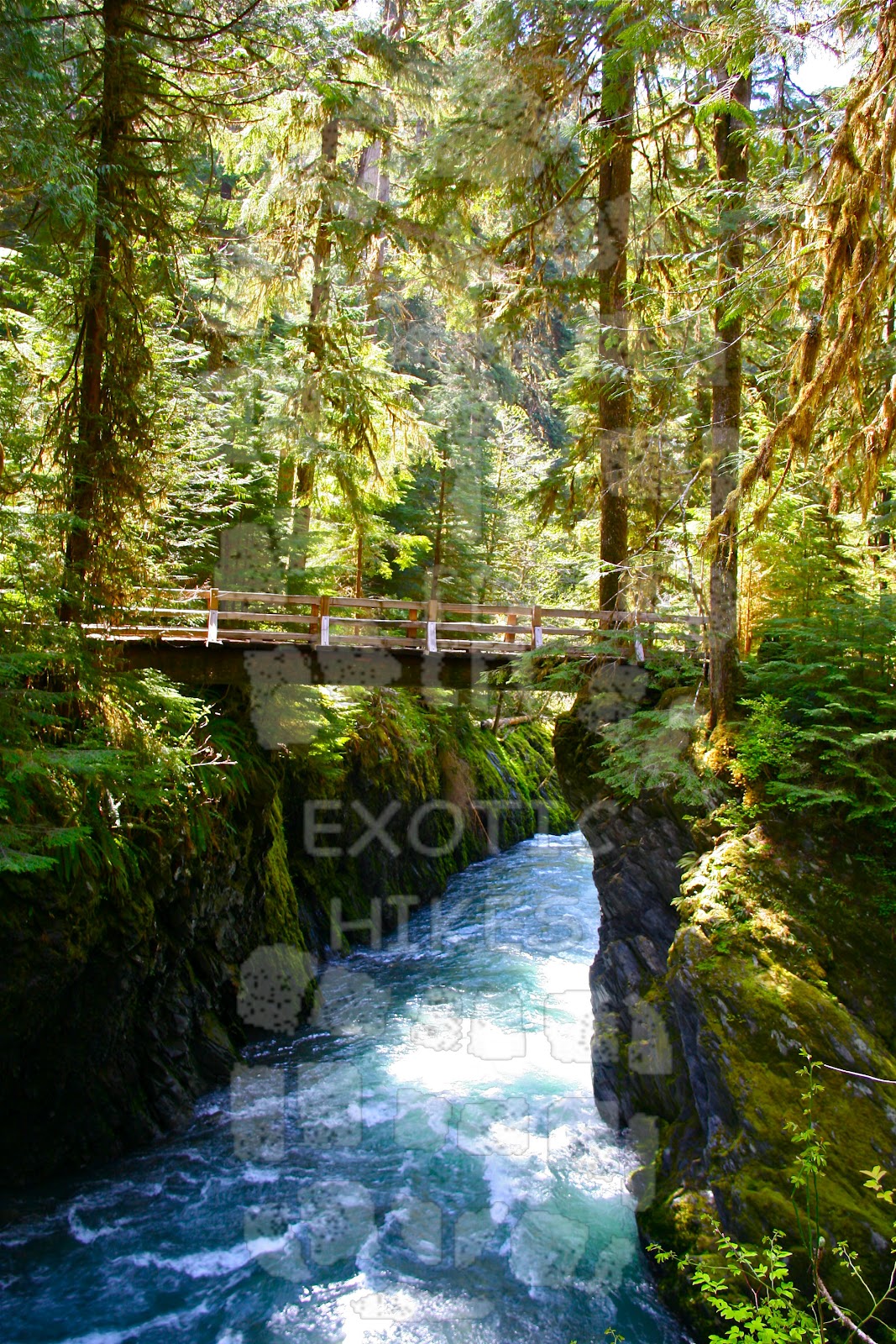 Olympic Peninsula Hikes, Guides and Updates: Is the Olympic National ...