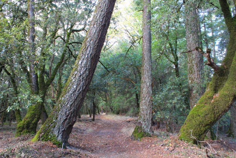 Eye On The View: Sanborn County Park II - Summit Rock Loop Trail