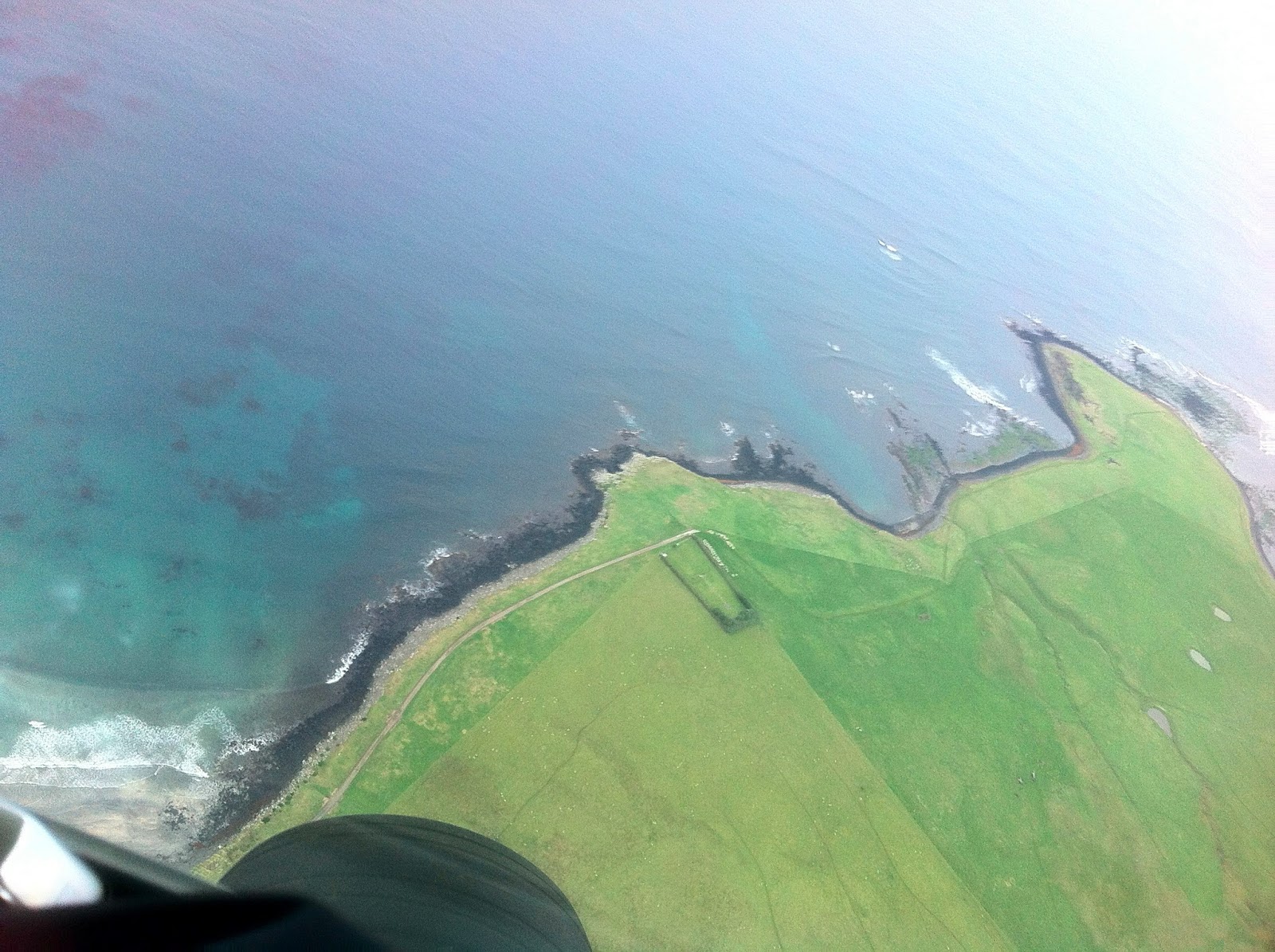 food for faith: a day on Pitt Island