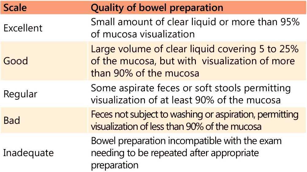 Ottawa Bowel Preparation Scale