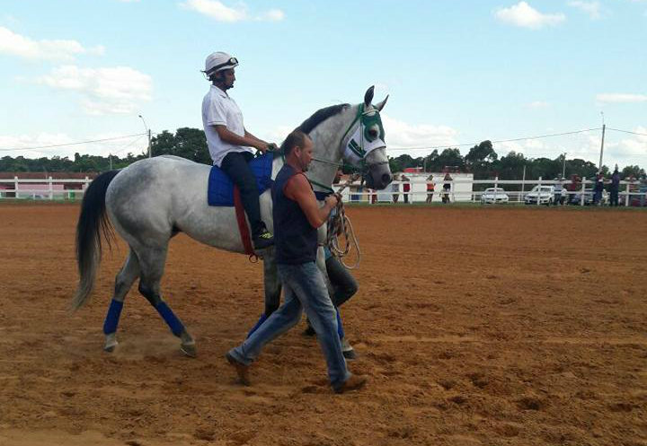 PASION TURFISTICA: Prime Panther volvió a la Argentina