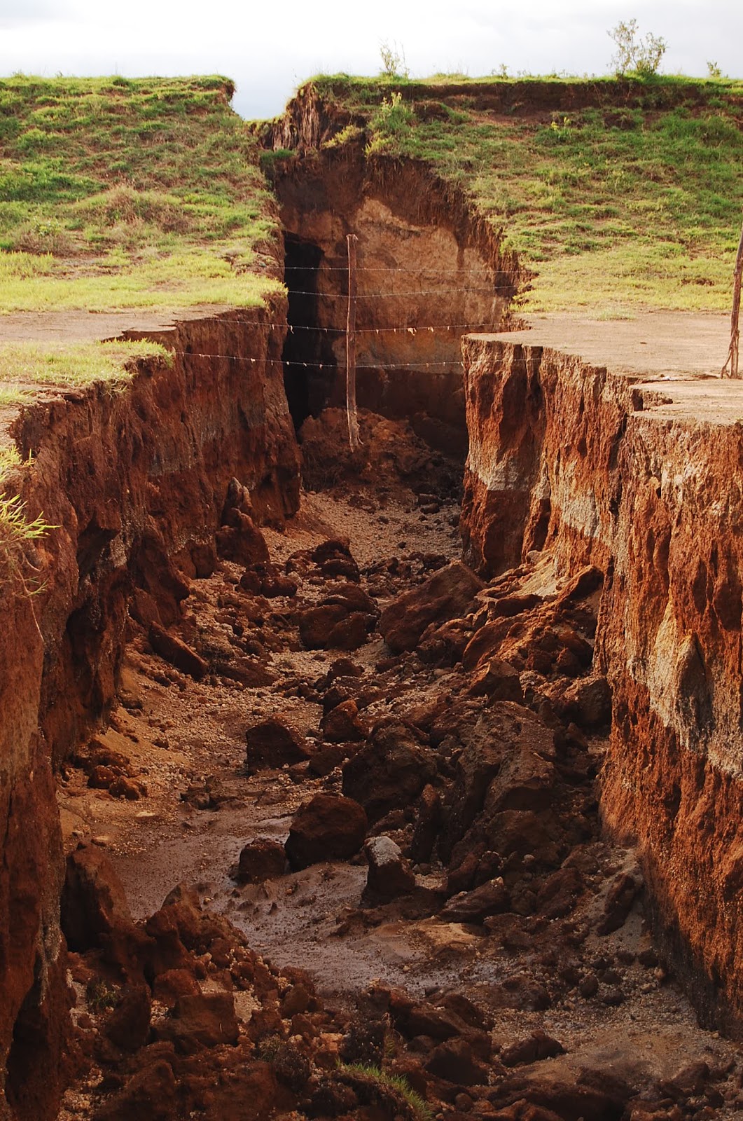 Learning to Follow: Quakes and Tornados in the Rift