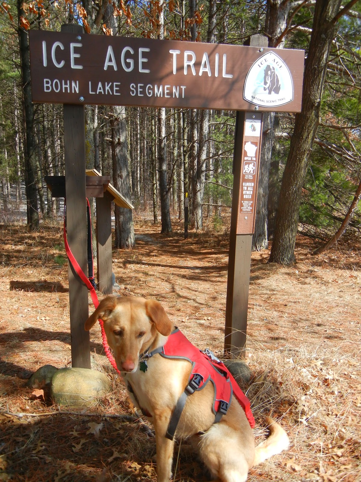 Hiking with Heather: IAT: Bohn Lake Segment