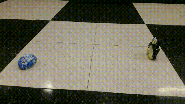 NWSA- ART 3D Comprehensive: Project 4B: Animated Gifs