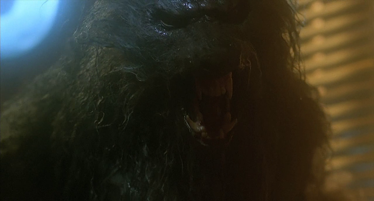 Fangtastic Film: Werewolf Winter: The Howling (1981)