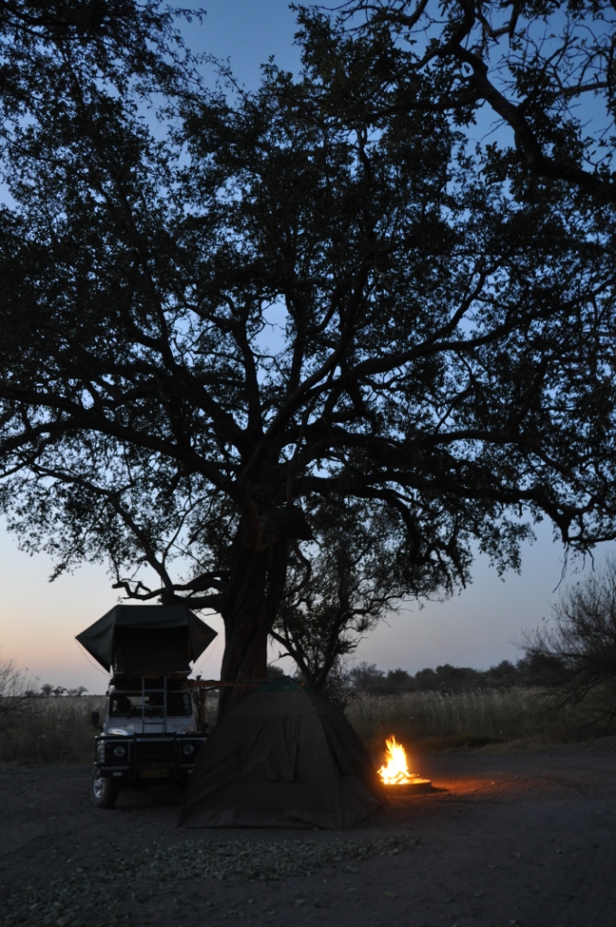 Danish family on adventures in Africa: Third Bridge Campsite - Okavango