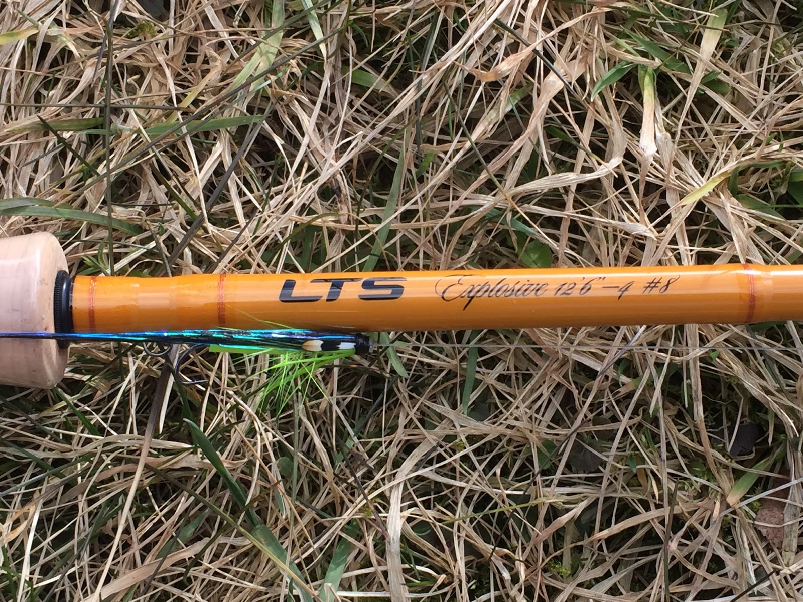 Dee & Don Salmon Fishing: LTS Explosive