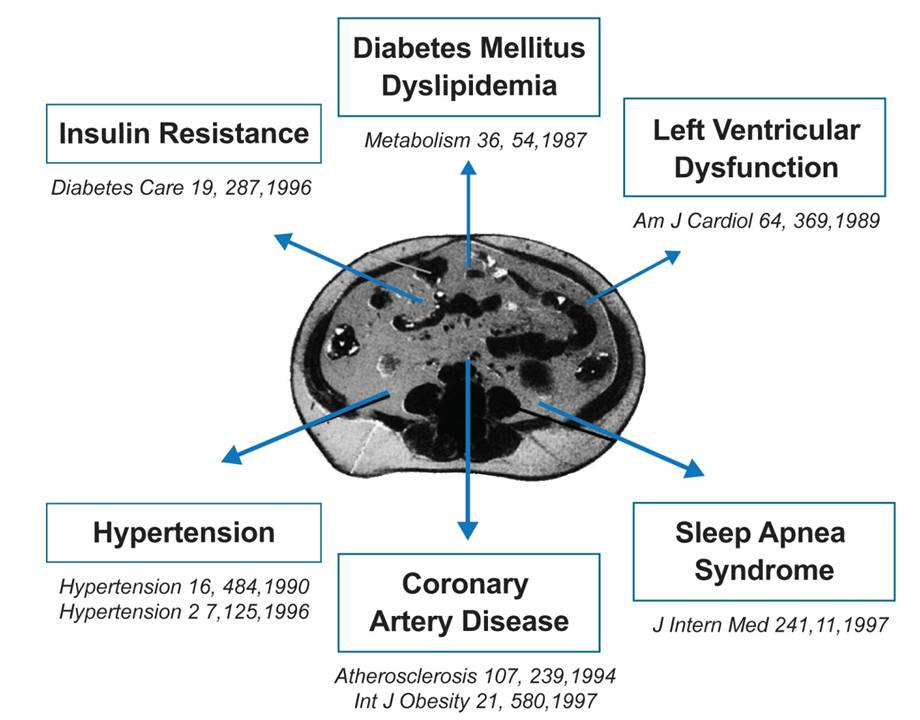 OBESIDADE DESCONTROLADA UMA SITUAÇÃO RESILIENTE, MAS RESISTENTE A ...