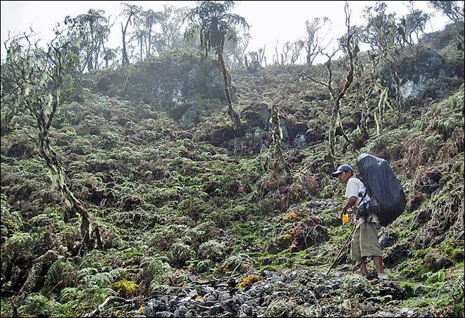 Mount Binaiya ~ Malay Travel and Tour