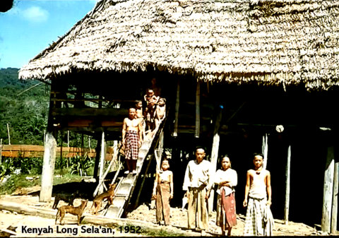 paren nyawi's blog: The Dayak Tribe of Borneo: Kenyah.