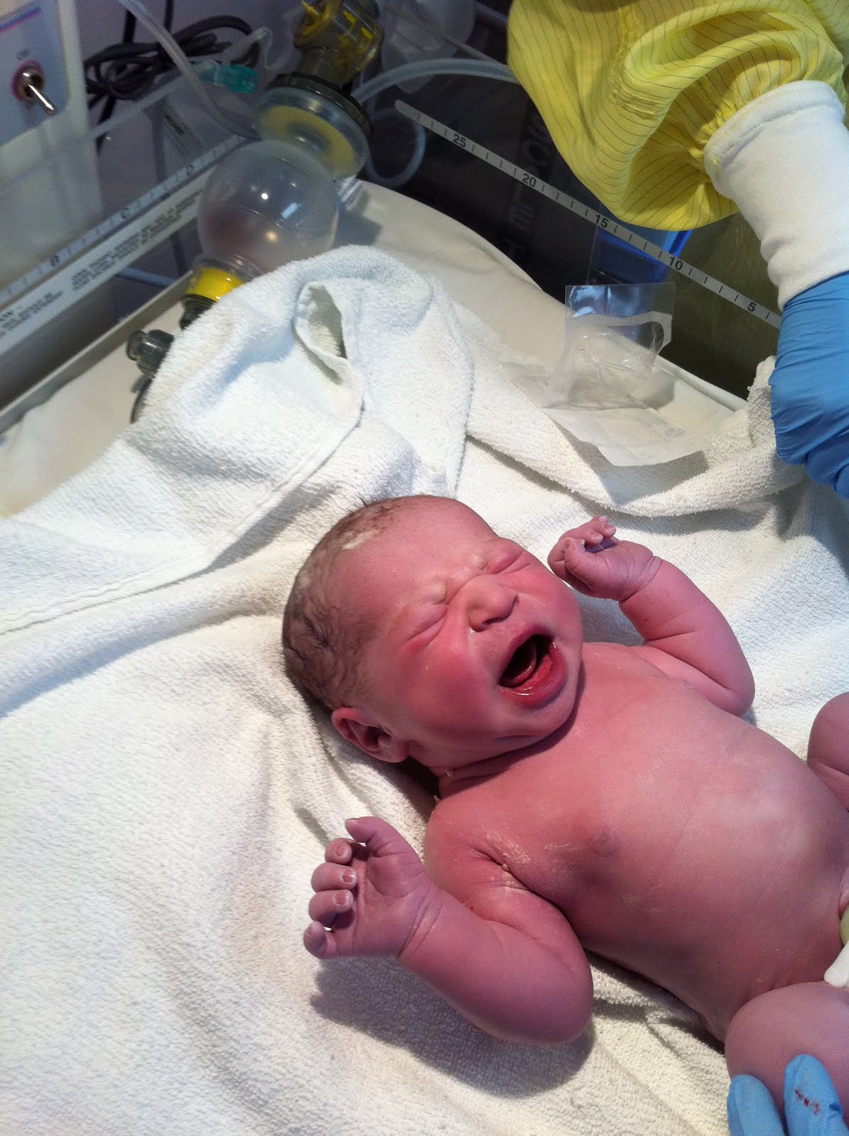 The Harvey Family: Brayden Cruz Harvey