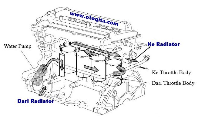Komponen Radiator dan Cara Kerja Radiator Mobil